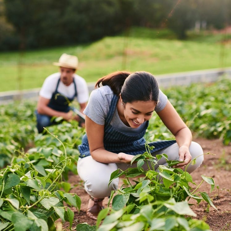 Thank You – Restricted and Control Stock | NPTrust