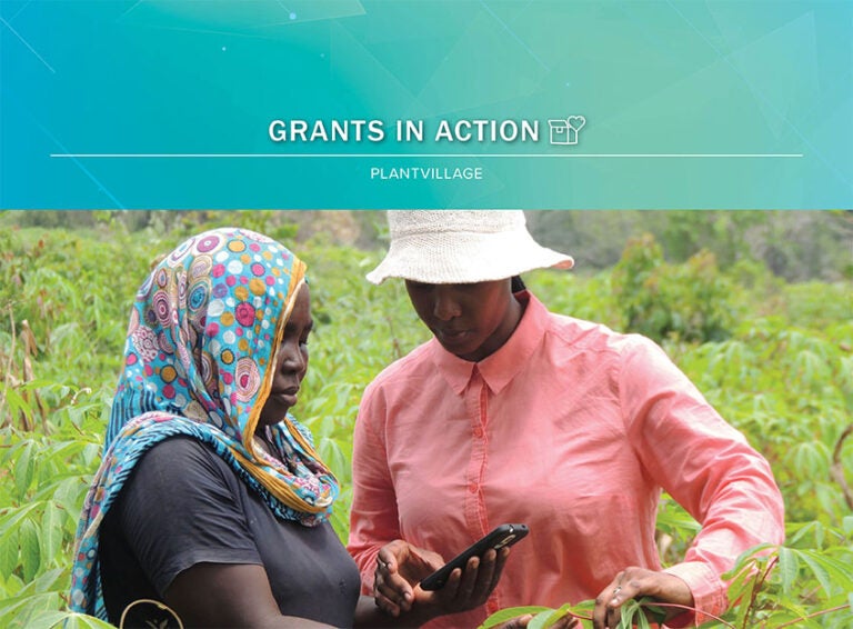 Against Malaria Foundation Looks Towards a Future Free of the Deadly ...
