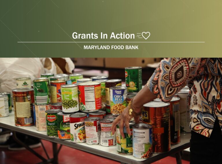 Hispanic Access Foundation: Creating Vital Connections Across Latino ...