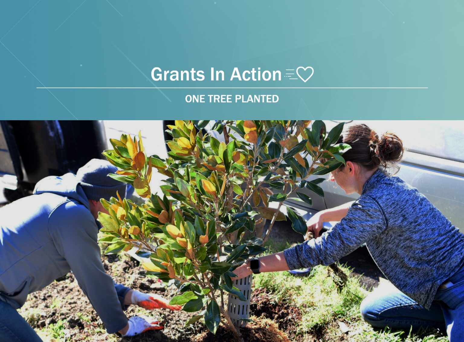 How One Tree Planted is Making Reforestation Accessible Around the World | NPTrust